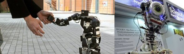 Deux robots à la morphologie humaine : Acroban et Eccerobot | Robot Blog