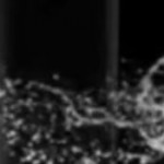 Vomiting Larry, le robot qui vomit | Robot Blog